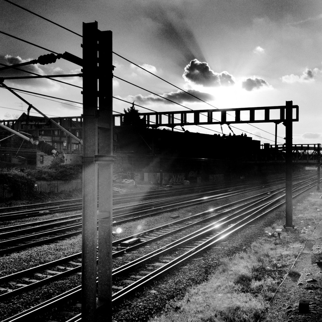 Train Tracks by Dog Unit